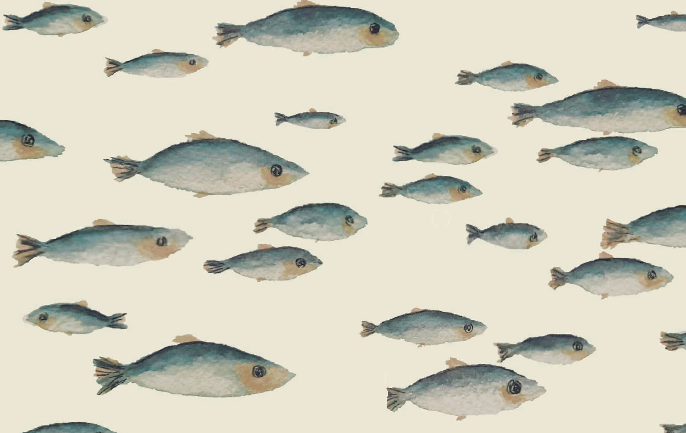 Peces azules – sloOw. Basque Country